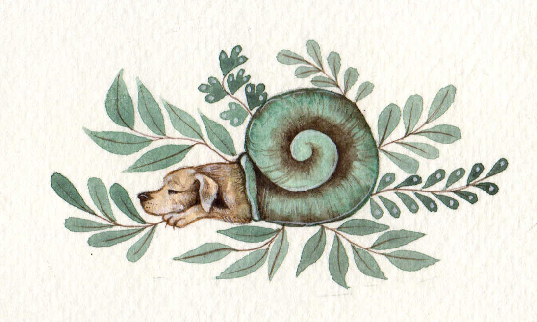 Original Miniature Watercolour - Dog Snail – TheWoodHermit
